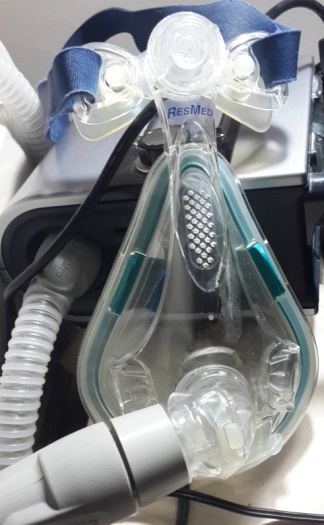 Facts, fun and fallacies about ElAl - SA Jewish Report