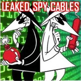 Leaked SA spy cables reveal Mossad tactics - SA Jewish Report