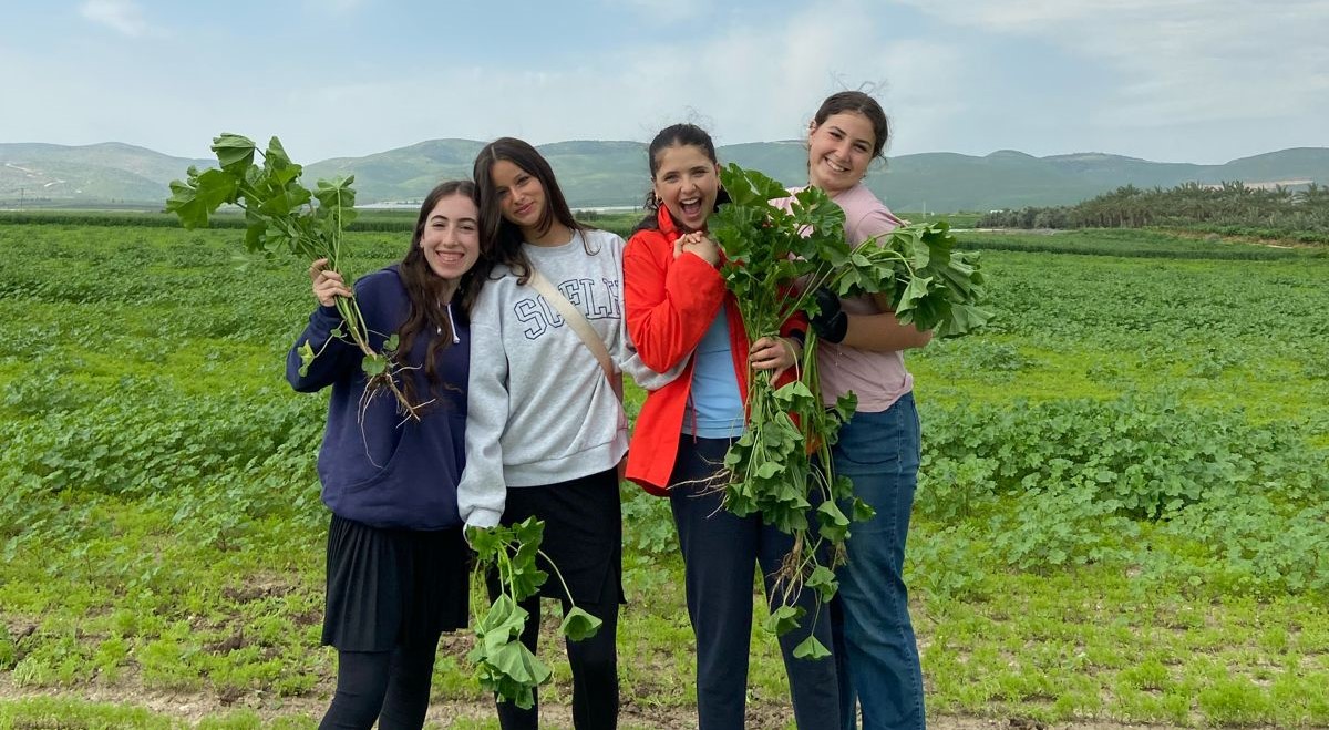 Mind the gap: youngsters adjust to Israel at war - SA Jewish Report