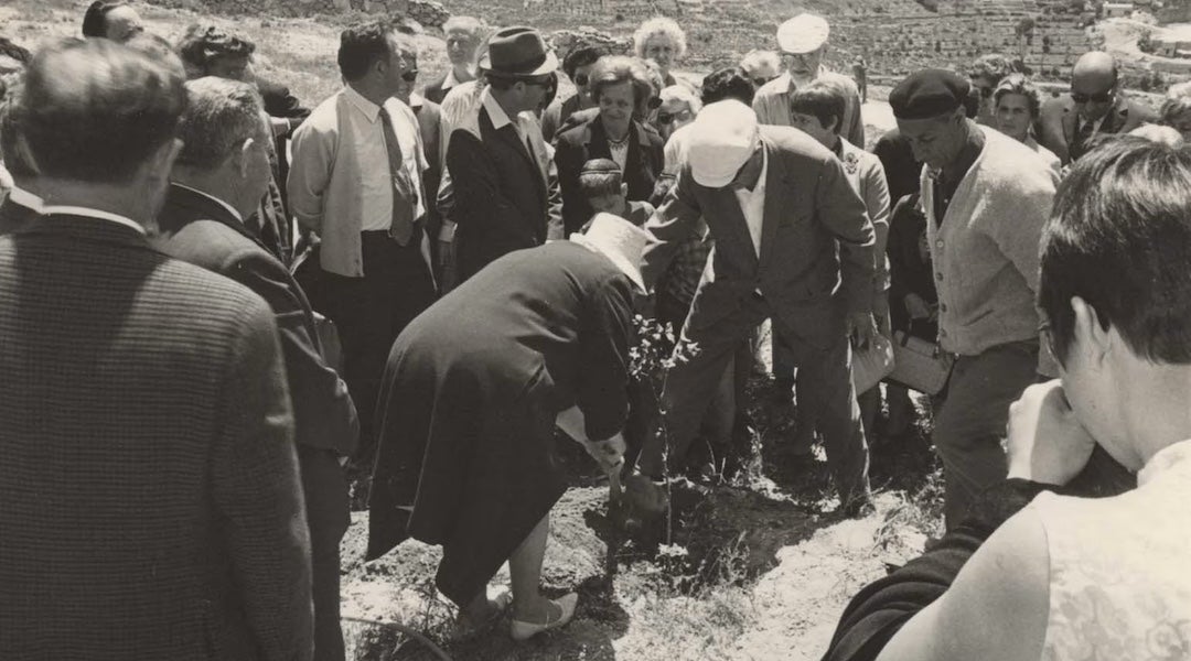 I went looking for Holocaust ‘upstanders’. I found a Nazi rescuer who ...